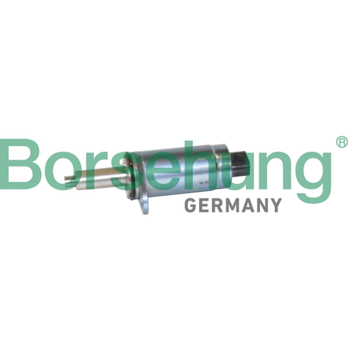 06E103697AE | Ajustador arbol de levas BORSEHUNG | – SAFE REFACCIONES