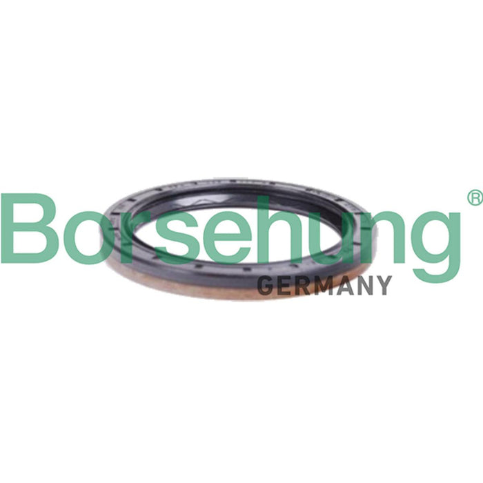 09A409400A | Anillo de reten BORSEHUNG | – SAFE REFACCIONES