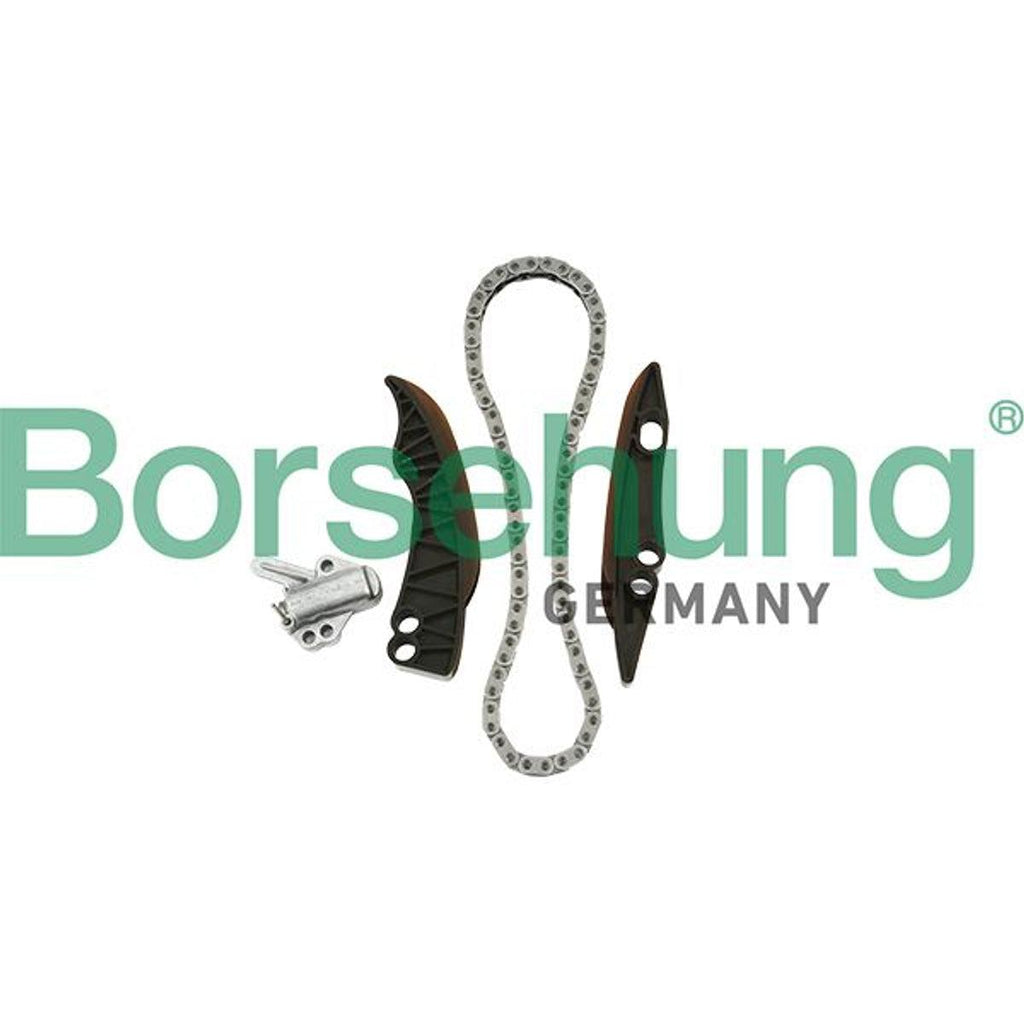 11317512519 | Guia de cadena BORSEHUNG | – SAFE REFACCIONES