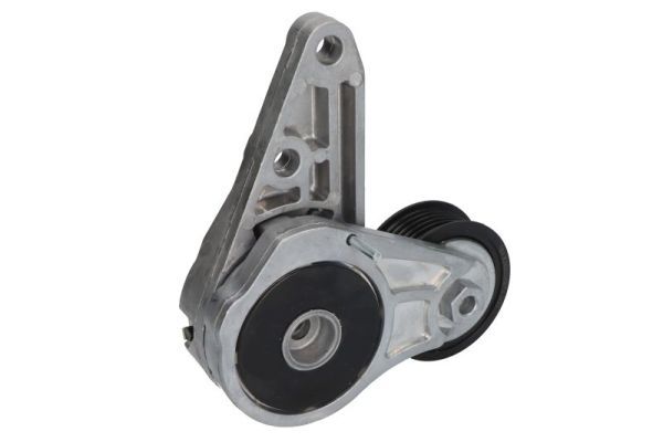 31258034 | Tensor de la banda de motor alternativa | – SAFE REFACCIONES